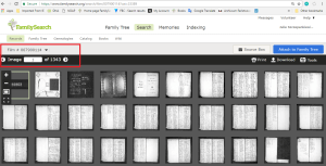 A Step-by-Step Guide to Finding Digital Images in the FamilySearch ...