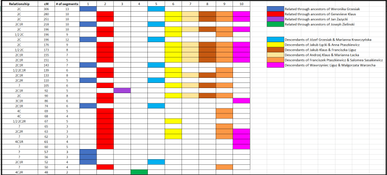 Visualizing Challenges to Genetic Genealogy Research Using Leeds and ...