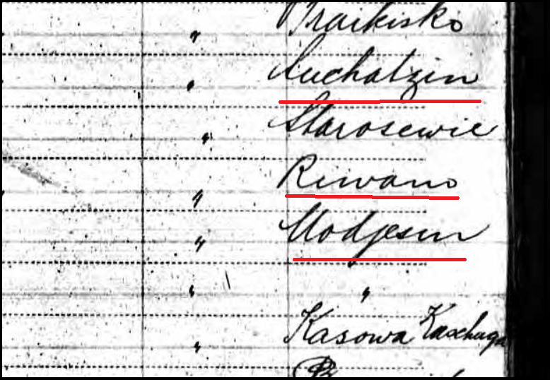 Manifest Mayhem! Identifying Józefa (Winnicka) Łukasik’s Place of ...